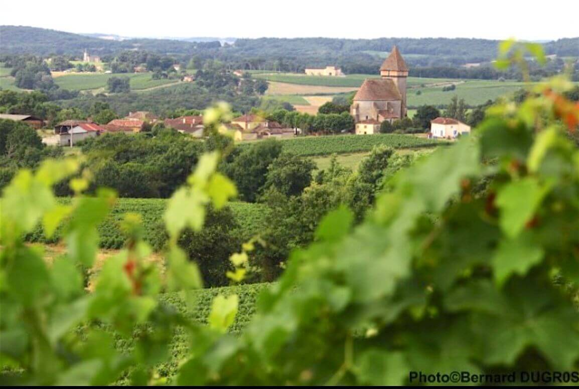 Coup de cœur – Soizic Millet ambassadrice du vin bio - PresseLib