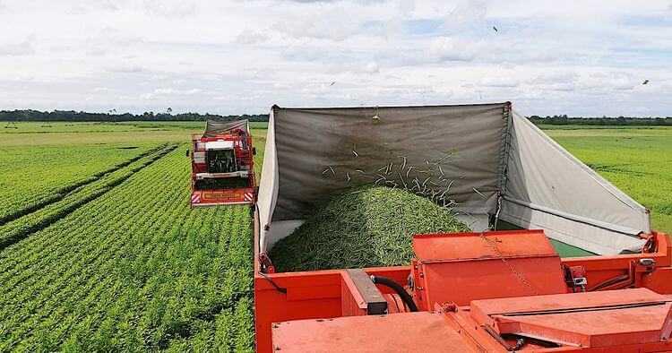 Lur Berri ne manque pas d’ambitions et d’atouts - PresseLib