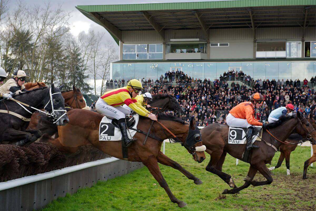 Deux journées au sommet à l'hippodrome de Pau - PresseLib