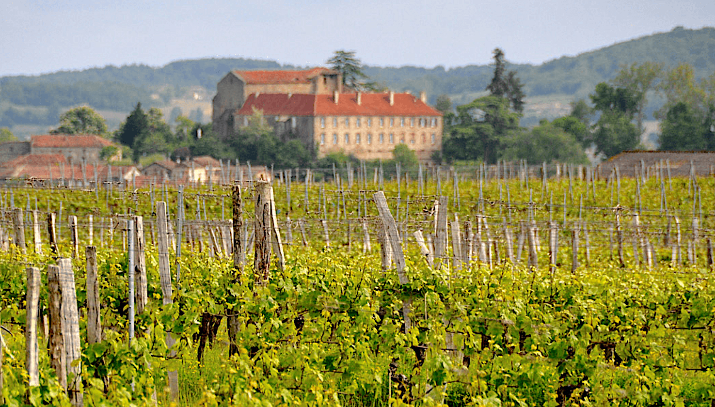 À L’HONNEUR - Plaimont au sommet des coopératives viticoles mondiales ...