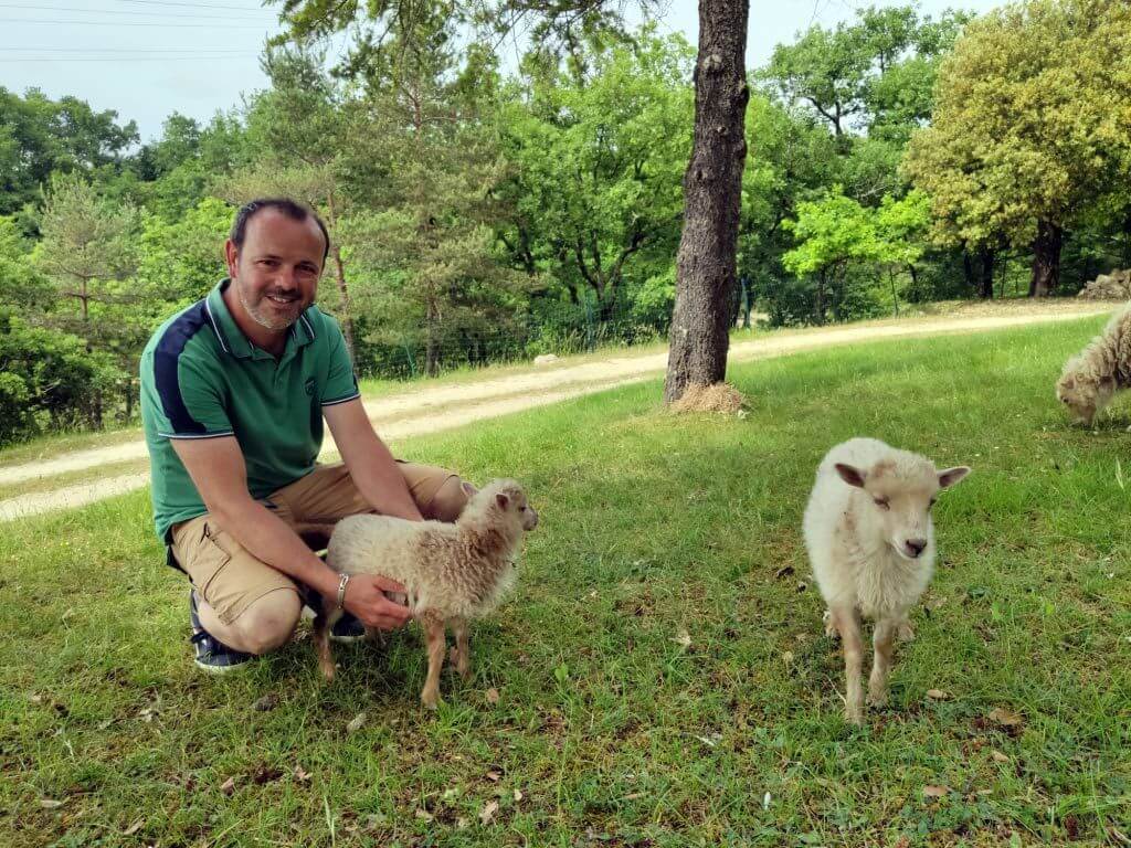 CHANGER DE VIE - Les moutons d’or de Sébastien Perrou - PresseLib