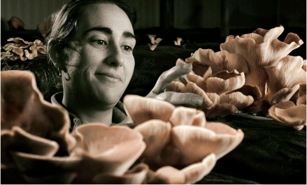 PRODUITS AU TOP - Pâtissière créative à Accous, drive Agneau de lait ...