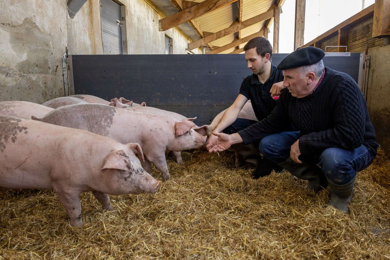 ICI ON PRODUIT LA VIE - La Ferme Elizaldia : au cœur de Gamarthe, l ...