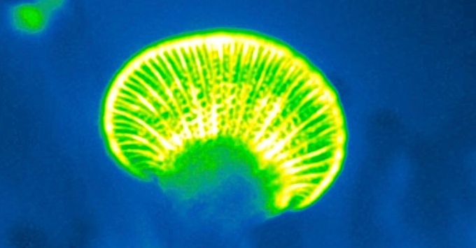 L’INFO INCONTOURNABLE – Une usine XXL à Lacq autour d’une molécule ...