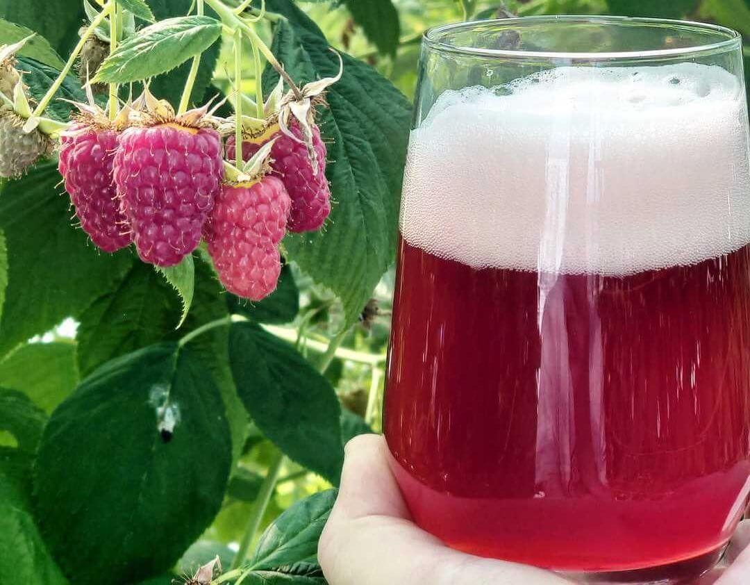 Grâce à sa brasserie artisanale, Camille Ruggiero souhaite redynamiser ...