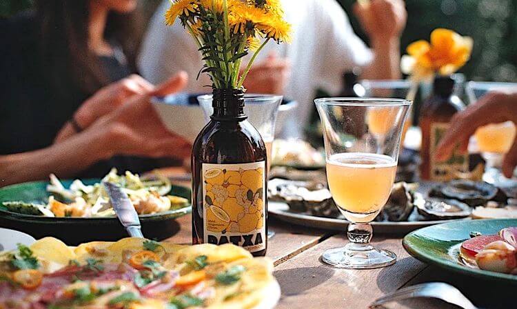 Anglet : Datxa Kombucha, le goût subtil de l'artisanal - PresseLib