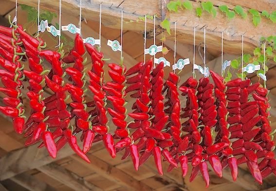 PIMENTS SANS FRONTIERES – Les producteurs du Pays basque Nord et Sud s ...