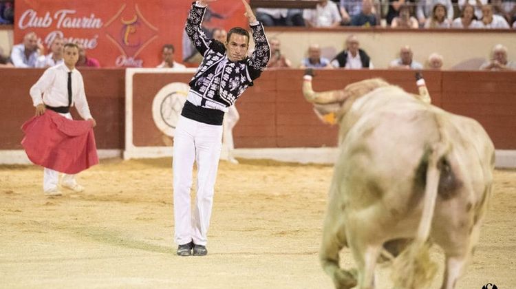 COURSE LANDAISE – Incertitudes graves pour la prochaine saison - PresseLib