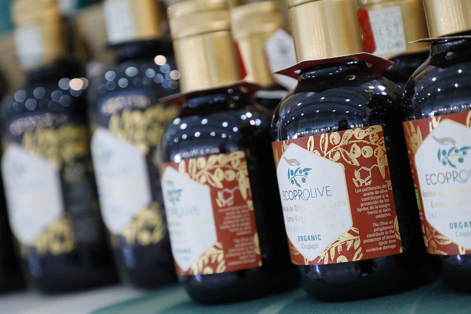 Bioterra 2023 : Le Ficoba d'Irun se met au vert - PresseLib