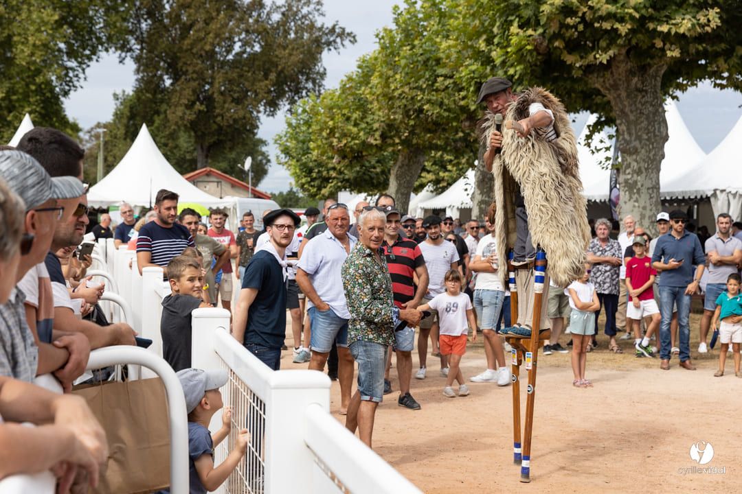 À Mont-de-Marsan, le surprenant Salon de la Bécasse refait le plein ...