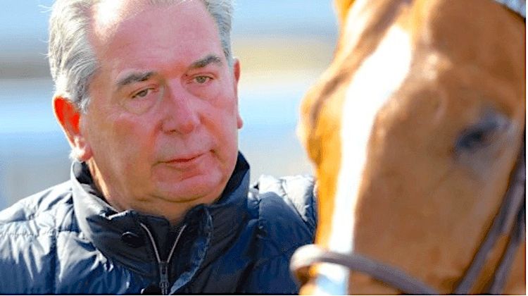 EN VRAC - Arc de Triomphe pour Rouget, le Pic, métiers au Pays Basque ...