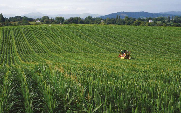 Lur Berri résiste et s'adapte malgré la crise économique et sanitaire ...