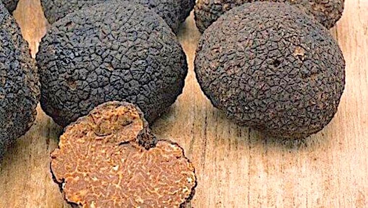 EN VRAC - Fêtes d’Orthez, pastorale en basque et gascon, Dacquois Tête ...