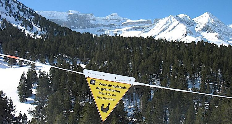 ATTENTION COQ FOU – Vigilance demandée en Bigorre - PresseLib