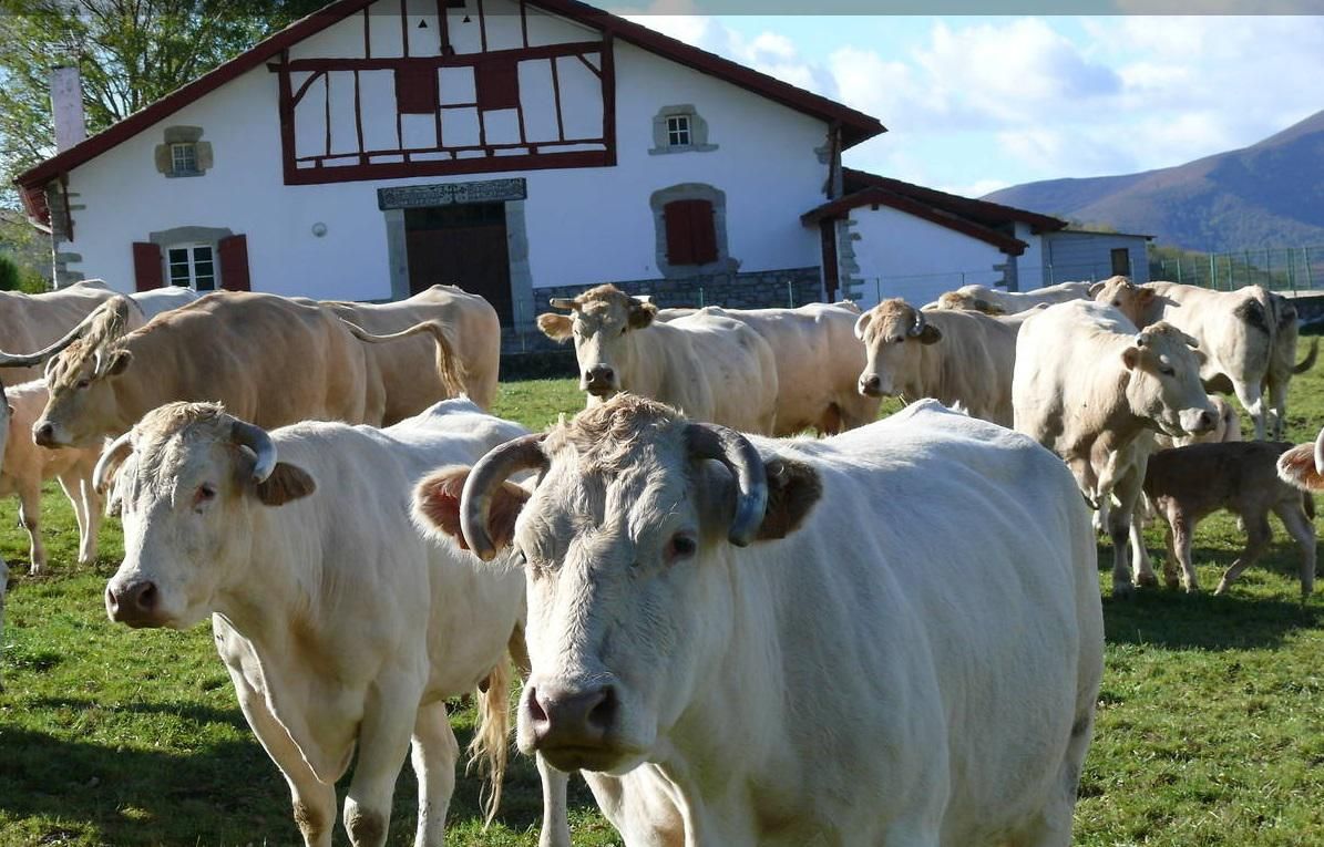 Jateko privilégie le circuit-court au Pays basque - PresseLib