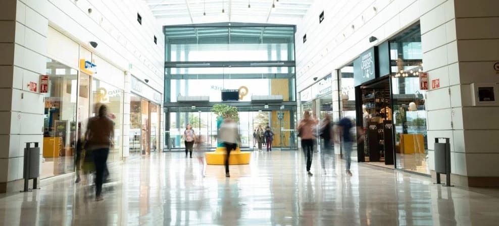 ÉTONNANT - Le cabinet des curiosités au centre commercial Pau Lescar ...
