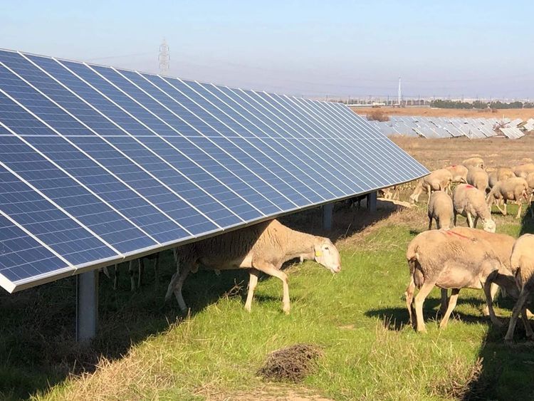 Solaria, la future connexion haute tension des data centers basques ...